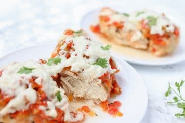 Crock Pot Salsa Fresca Chicken - Monica Nedeff